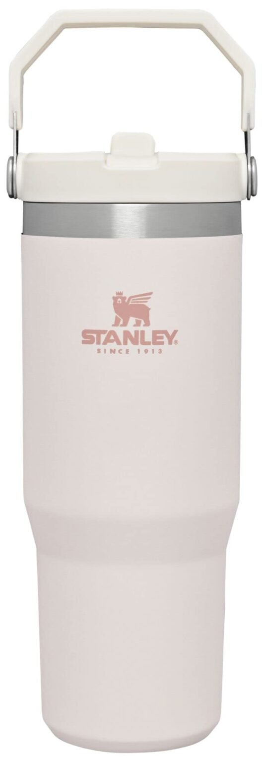 Stanley IceFlow Stainless Steel Tumbler Bottle Review: Is it Worth the ...